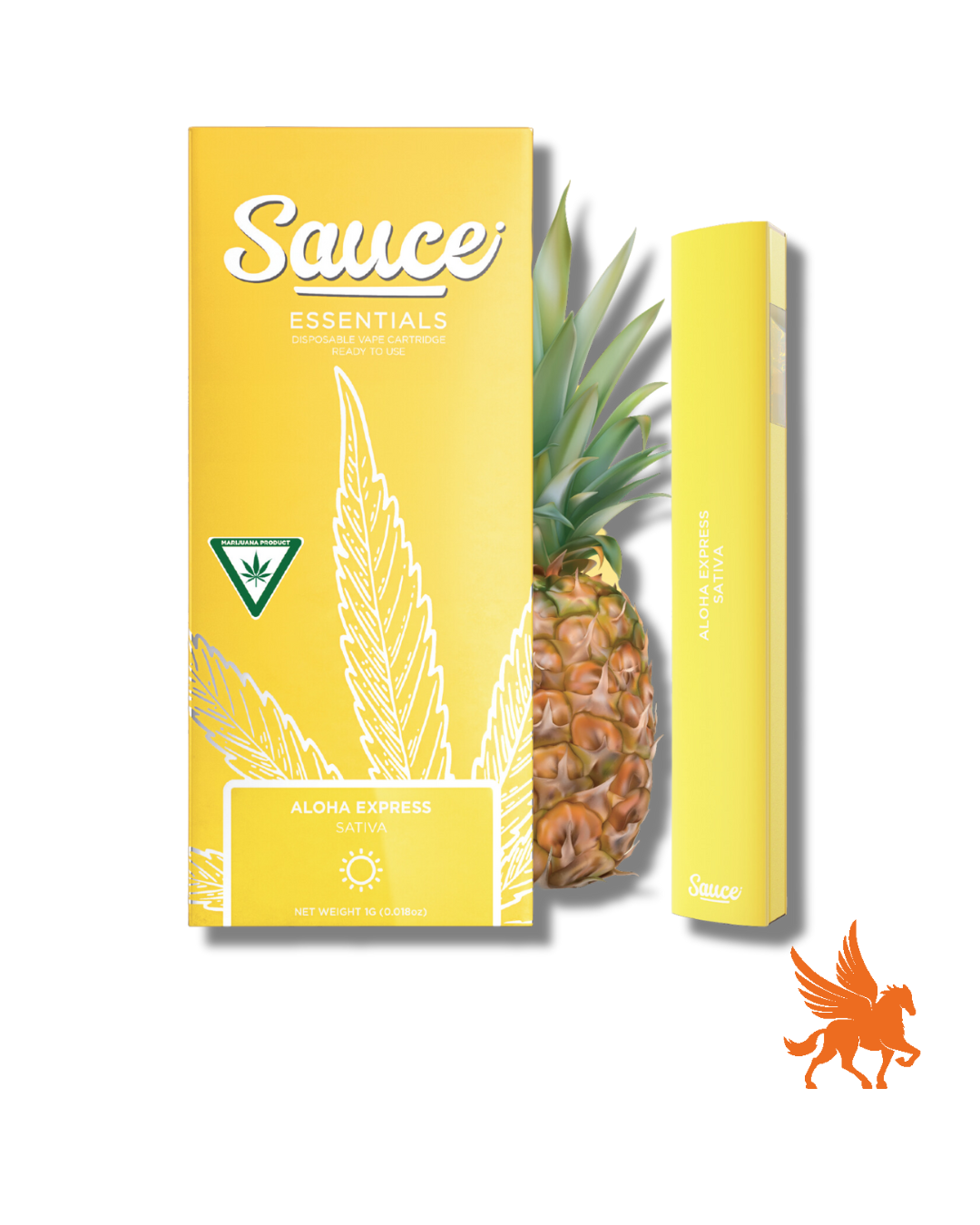 SAUCE - 1G Aloha Express | Disposable