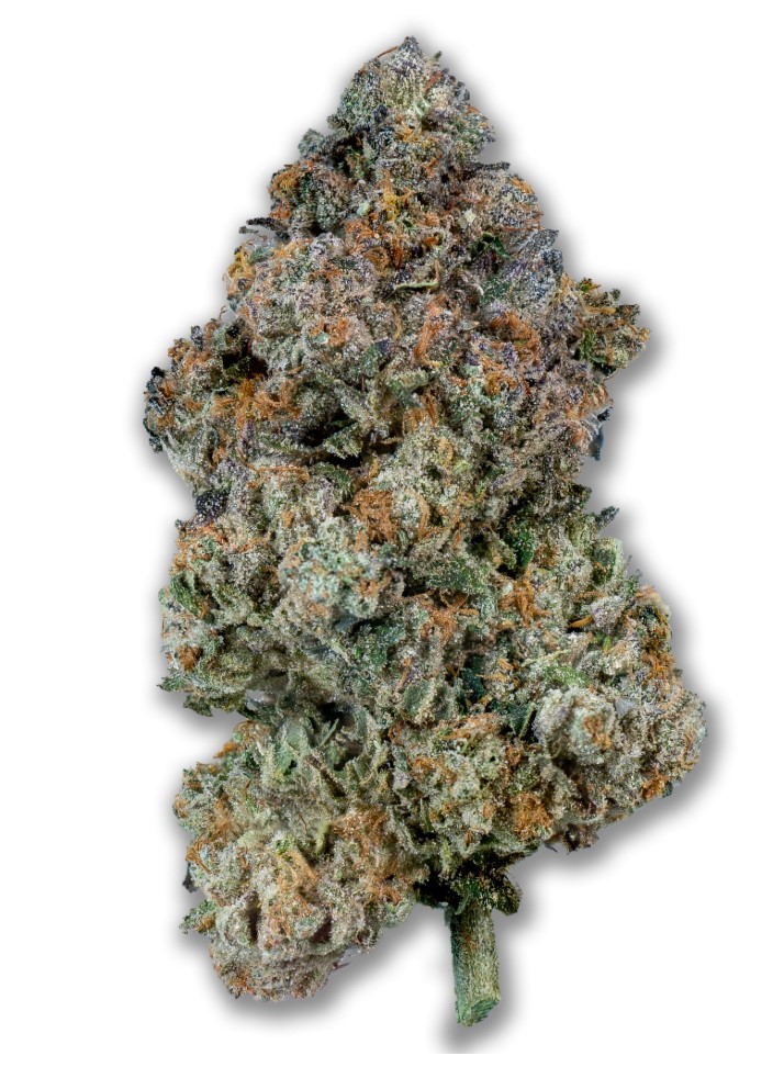 HIGH SOCIETY 14G PRE-PACK – Premium Cannabis Products Near Me